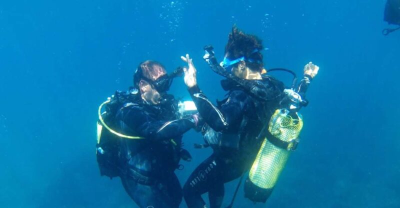 Alicante: Denia Beginners Scuba Diving Experience - Introduction