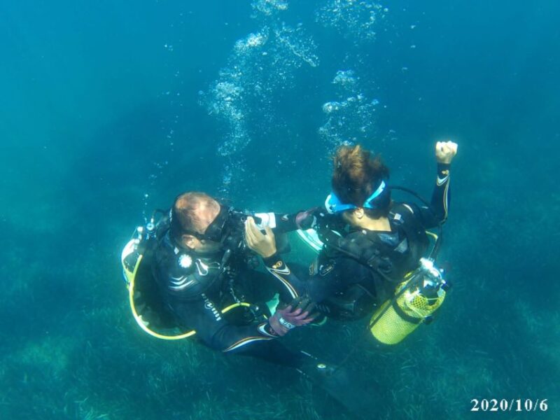 Alicante: Denia Beginners Scuba Diving Experience - An Introduction to the Experience