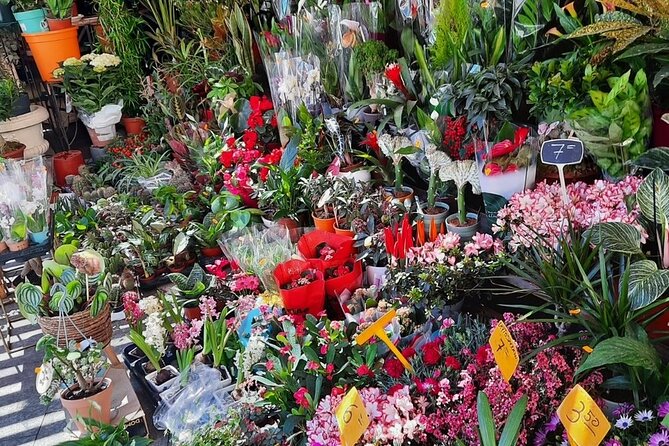 Alicante Discovery Tour From Benidorm - Enjoying the Beaches