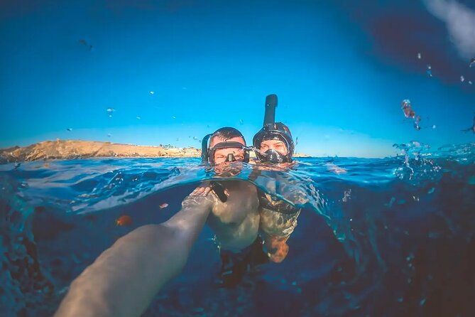 Alicante E-Bike Coast Tour with Román Fishpond and Snorkeling - Who Should Consider This Tour?