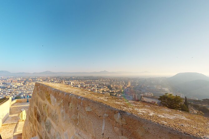 Alicante Highlights Private Tour With Castle - Customer Reviews and Feedback