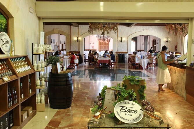 Alicante Old Winery Tour and Wine Tasting Including Transfer - Final Thoughts: Is It Worth It?