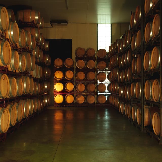 Alicante (Pinoso): Tour Experience Back from the Vineyard to the glass - Who Should Book This?