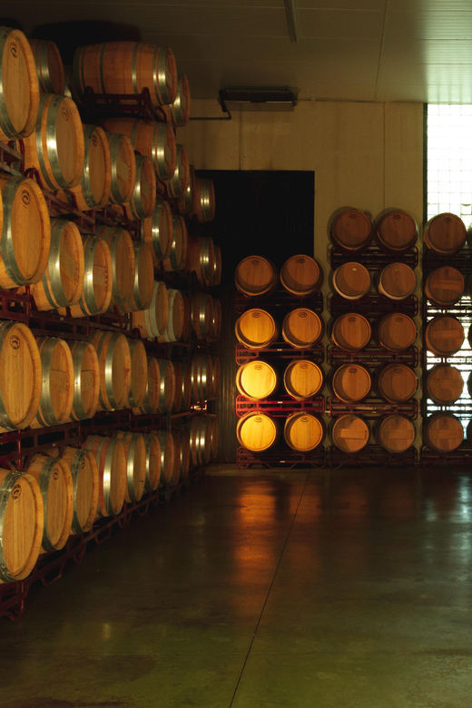 Alicante (Pinoso): Tour Experience Back from the Vineyard to the glass - The Sum Up