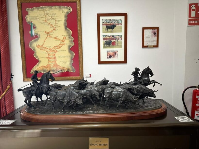 Alicante: Private Guided Visit to Alicante Bullring & Museum - Conclusions: Who Should Book This Tour?