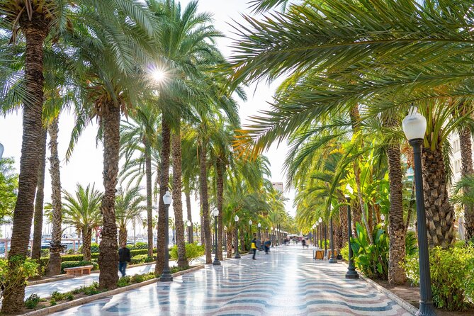 Alicante Semi-Private Tour: City, Castle, Market & Tapas Walk - Basilica Santa Maria and Casa Carbonell