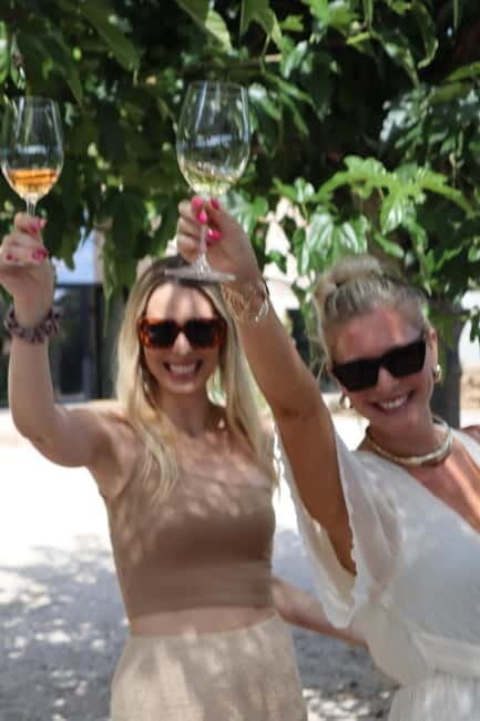 Alicante: Sustainable Wine & Tapas Experience at 3 Wineries - Key Points
