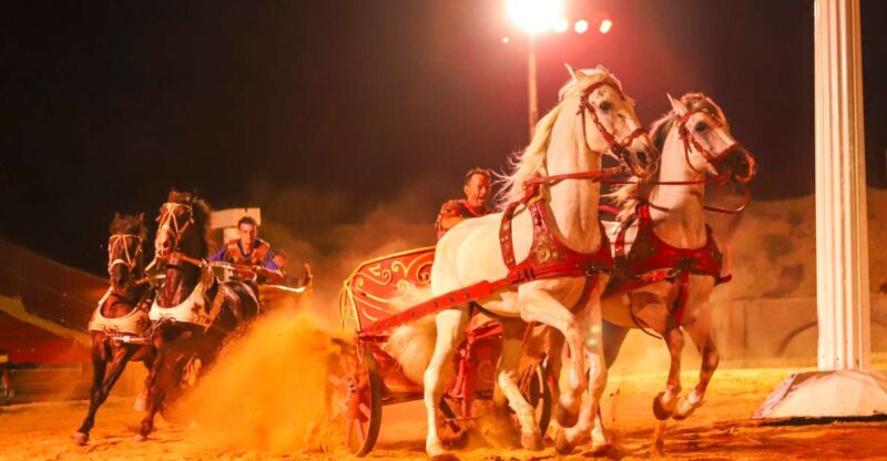 Alicante: Villajoyosa Gran Circus Maximus Entry Ticket - Why This Tour Works for Travelers