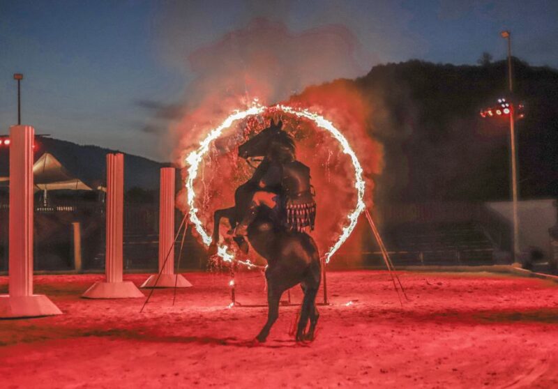 Alicante: Villajoyosa Gran Circus Maximus Entry Ticket - Final Thoughts: Who Should Consider This Experience?