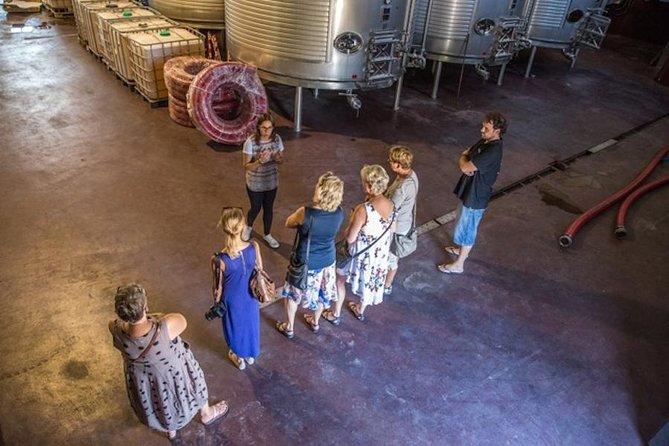 Alicante Wine Tour With Wine Tasting - The Wine Tasting Experience