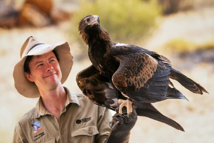 Alice Springs: Desert Park Entry Ticket - The Itinerary and Highlights: What to Expect