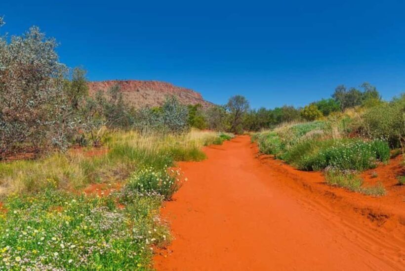 Alice Springs: Desert Park Entry Ticket - The Sum Up: Is the Alice Springs Desert Park Worth It?