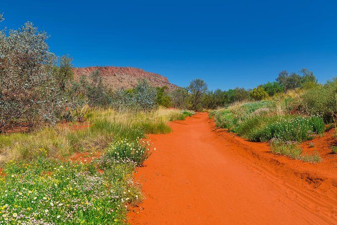 Alice Springs Desert Park General Entry Ticket - FAQs