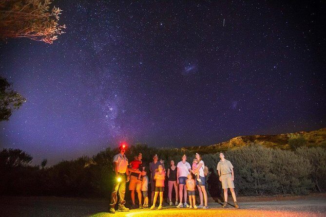 Alice Springs Desert Park Nocturnal Tour - An In-Depth Look at the Tour