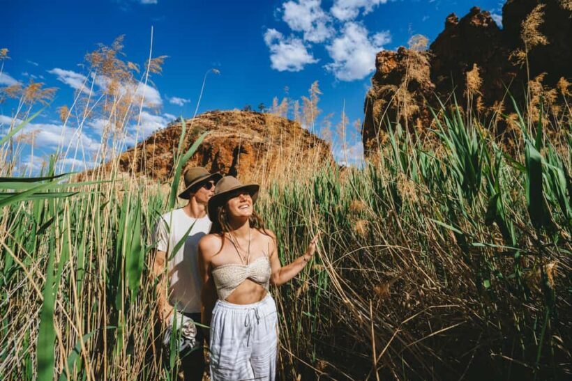 Alice Springs: Larapinta Hiking Trail 5 Day Adventure Safari - An Honest Look at the Alice Springs: Larapinta Hiking Trail 5 Day Adventure Safari