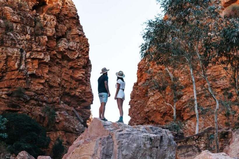 Alice Springs: Larapinta Hiking Trail 5 Day Adventure Safari - Key Points
