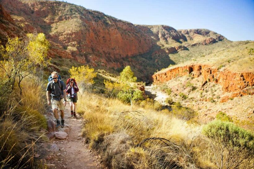 Alice Springs: Larapinta Hiking Trail 5 Day Adventure Safari - Who Should Book This?