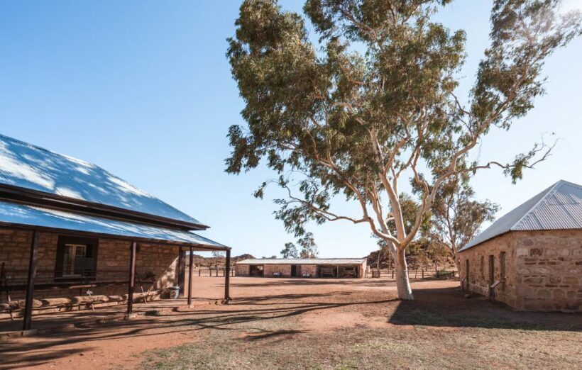 Alice Springs: Town Highlights and West MacDonnell Ranges - Highlights from Traveler Reviews