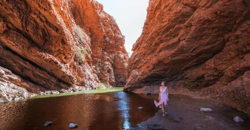 Alice Springs: Town Highlights and West MacDonnell Ranges - The Sum Up: Who Will Love This Tour?