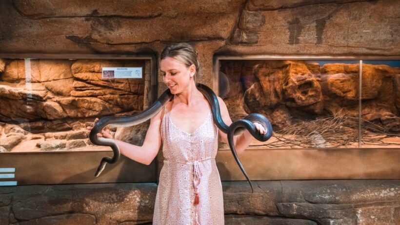 Alice Springs: Town Highlights and West MacDonnell Ranges - FAQ: Your Practical Questions Answered