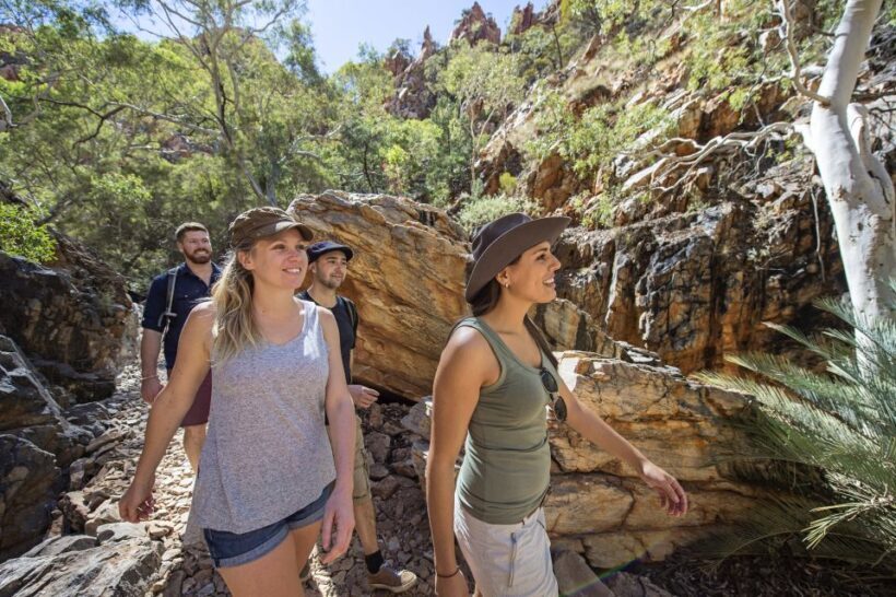 Alice Springs: West MacDonnell Ranges & Standley Chasm Tour - Practical Considerations and Packing Tips