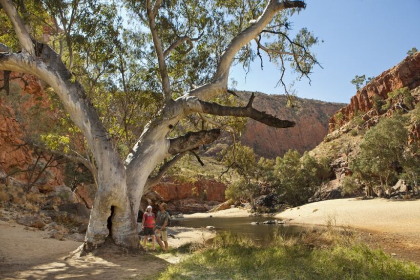 Alice Springs: West MacDonnell Ranges & Standley Chasm Tour - The Value of This Experience
