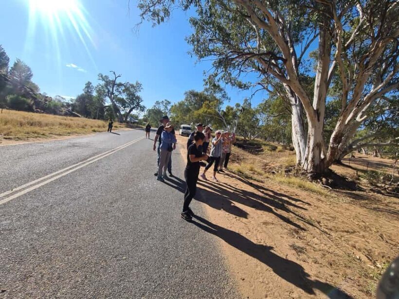 Alice Town and Country Half Day Sunset Tour -Small Group - Practical Details and Value