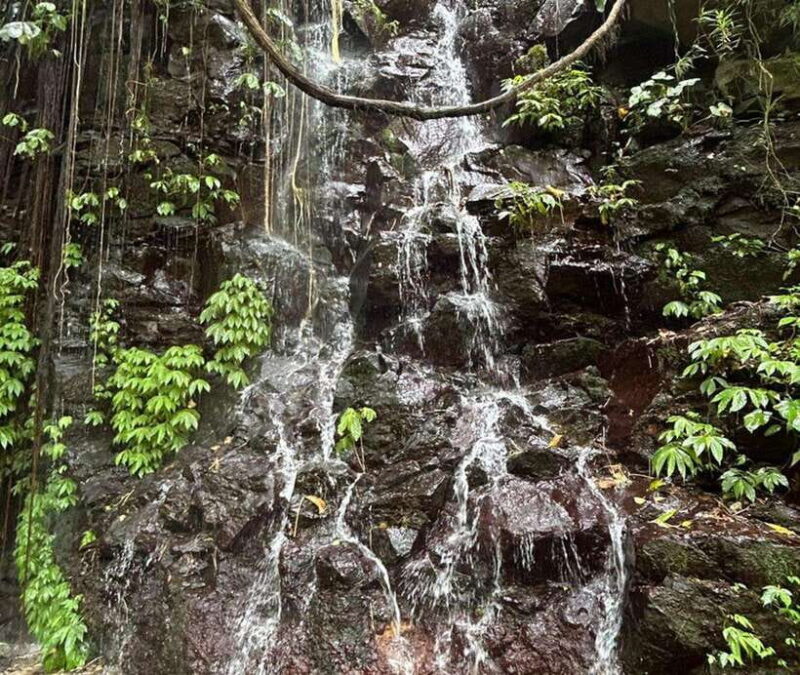 aling aling warerfalls : long trek - Who Should Consider This Tour?