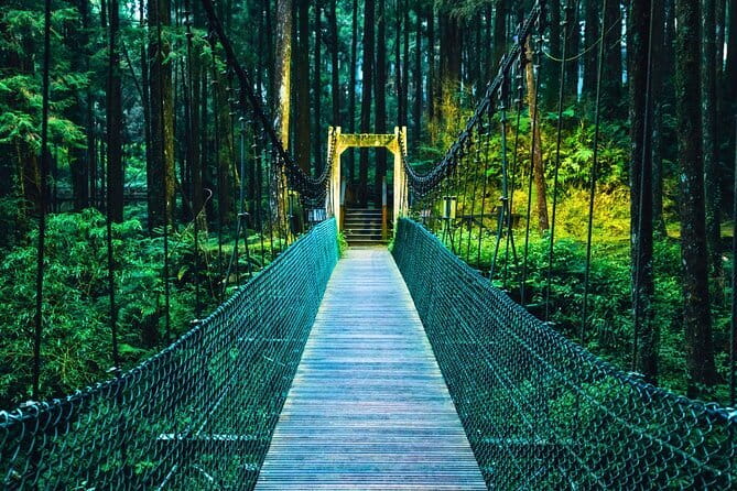 Alishan Join In Day Tour from Taichung (Incl. Park Entrance) - Introducing the Alishan Join In Day Tour from Taichung