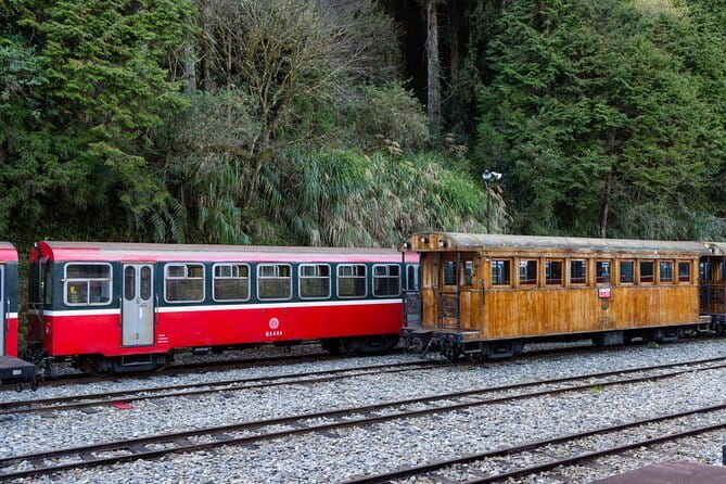 Alishan Join In Day Tour from Taichung (Incl. Park Entrance) - Exploring the Itinerary: What You’ll Experience