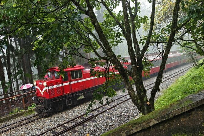 Alishan One Day Tour from Taichung - Transportation and Group Size