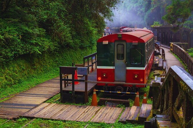 Alishan Private Day Tour from Taichung - How This Tour Stands Out