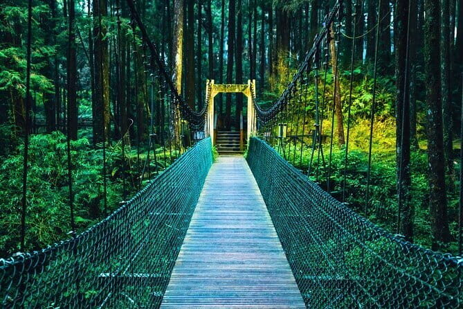 Alishan Private Day Tour from Taichung - Whats Included and Whats Not