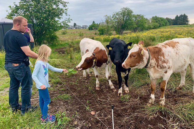 All Alesund Highlights in one tour - Exploring the Atlantic Coast: Alnes Lighthouse and Sunnmore Museum