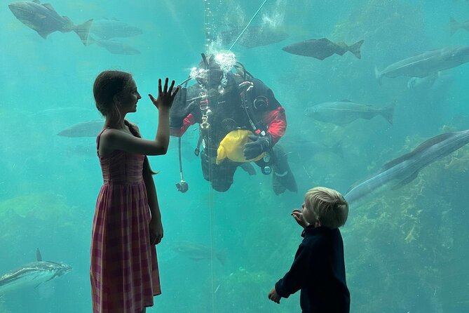 All Alesund Highlights in one tour - Concluding the Tour with Scenic Views and Local Color