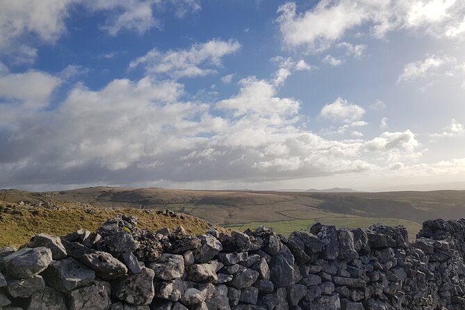 "All Creatures Great and Small" Private Tour from the Lake District - Frequently Asked Questions