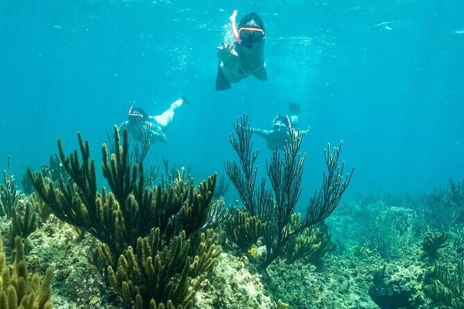 All Day Adventure with a Beach BBQ Feast from Providenciales - Practical Details and Tips