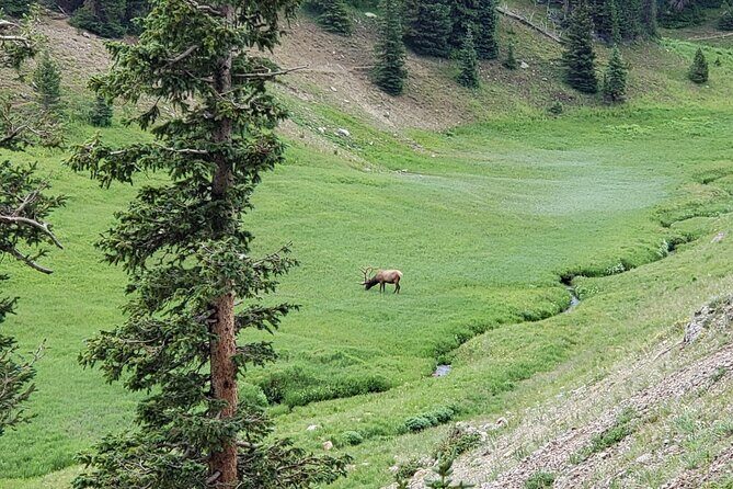All Day Rocky Mountain National Park to Grand Lake Tour - Key Points