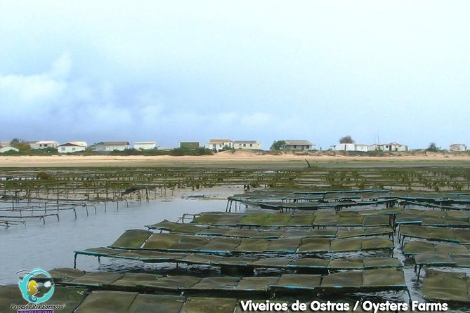 All Day Route in Fuseta - Explore the Islands