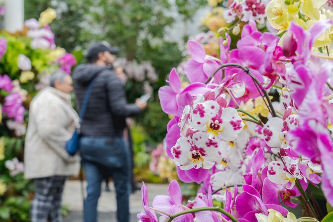 All-Garden Pass for the New York Botanical Garden - Key Points