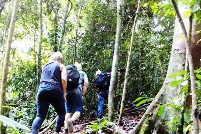 All-in 3N/4D Bukit Lawang Tour For School - Day 2 & 3: Jungle Trekking and Wildlife Encounters