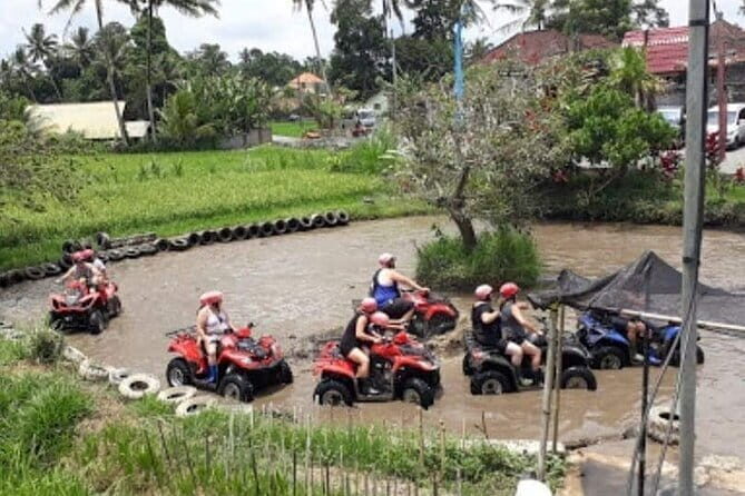 ALL IN Mount Batur ATV Quad Bike With Natural Hot Spring Lunch - Additional Touches: Coffee Plantation Visit