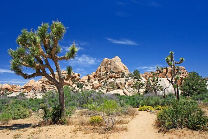 All-In-One California Self-Guided Driving & Walking Bundle Tour - An In-Depth Look at the Itinerary