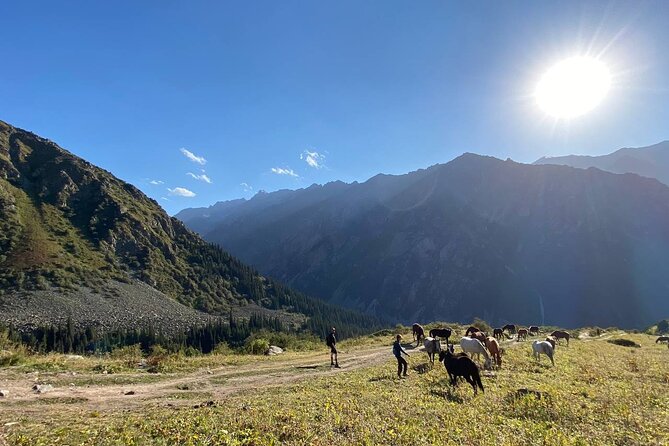 All in one-day: Bishkek city tour and Ala-Archa National Park - Frequently Asked Questions