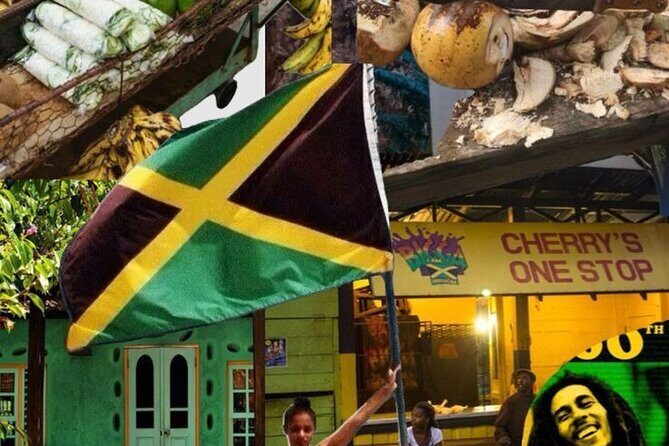 All In One Full Day Tour in Saint Ann Garden Parish Jamaica - Who Should Consider This Tour?