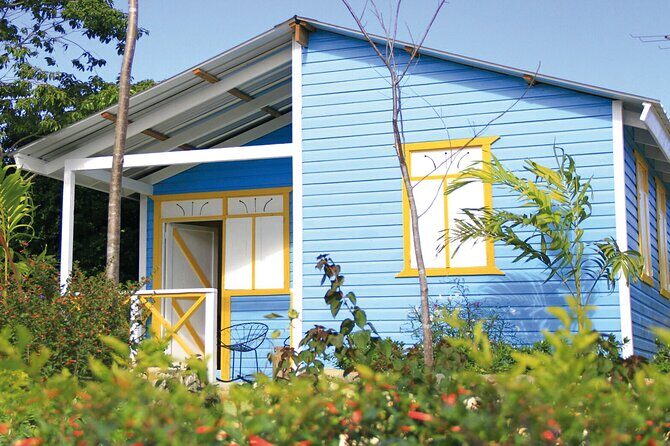 All-In-One Punta Cana Tour: Buggy, Zipline, Horseback, & Cenote - The Sum Up: Who Is This Tour Best For?