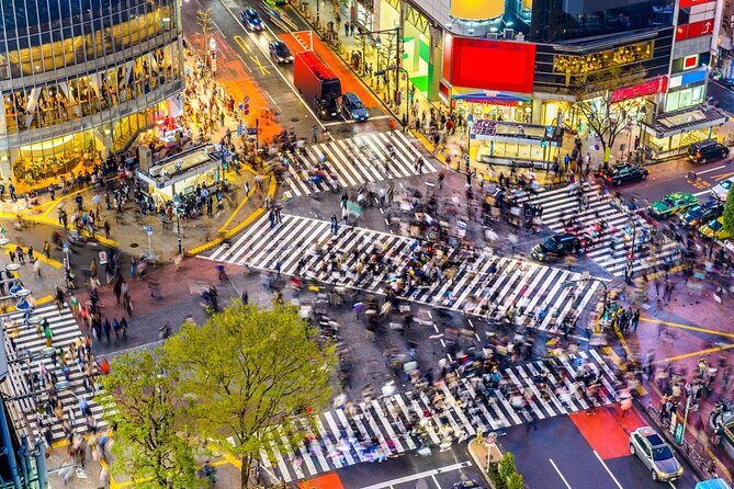 All in One Shibuya and Harajuku Family Friendly Food Tour - Introduction