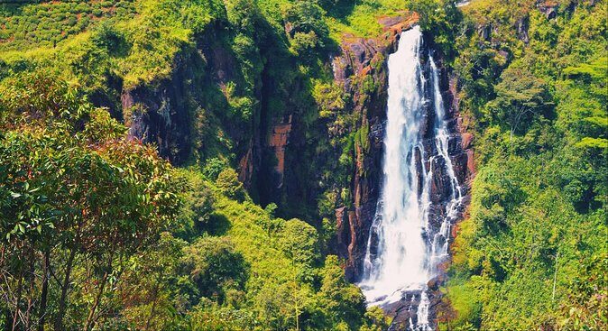 All in one Sri lanka 7nights 8 days for couple price - Pricing & Value