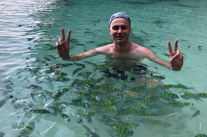 All-in Phi Phi, Maiton, MayaBay, Khai, Bamboo islands Tour - What Makes This Tour Stand Out