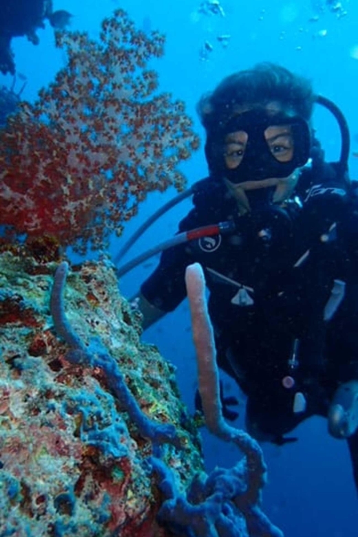 All Include Fun Dive At Menjangan Island - Equipment and Comfort